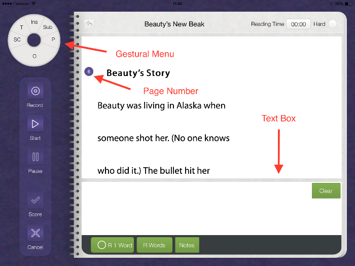 Coding a Reading Record on the Heinemann Fountas & Pinnell Assessment ...