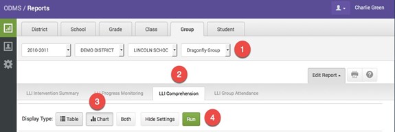 LLI Group Comprehension Report Overview on Heinemann Fountas & Pinnell ...