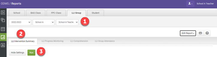 LLI Group Intervention Summary Report Overview on Heinemann Fountas ...